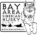 BASH Dogs for Adoption